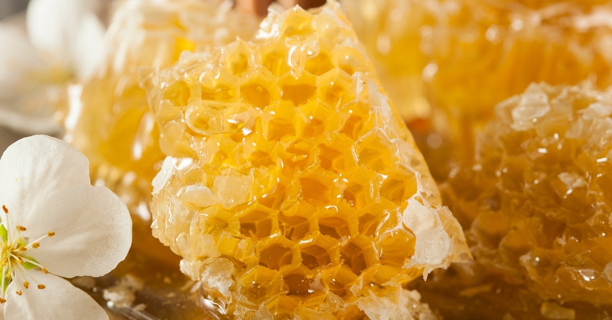 How To Choose the Right Containers for Bulk Honey Storage