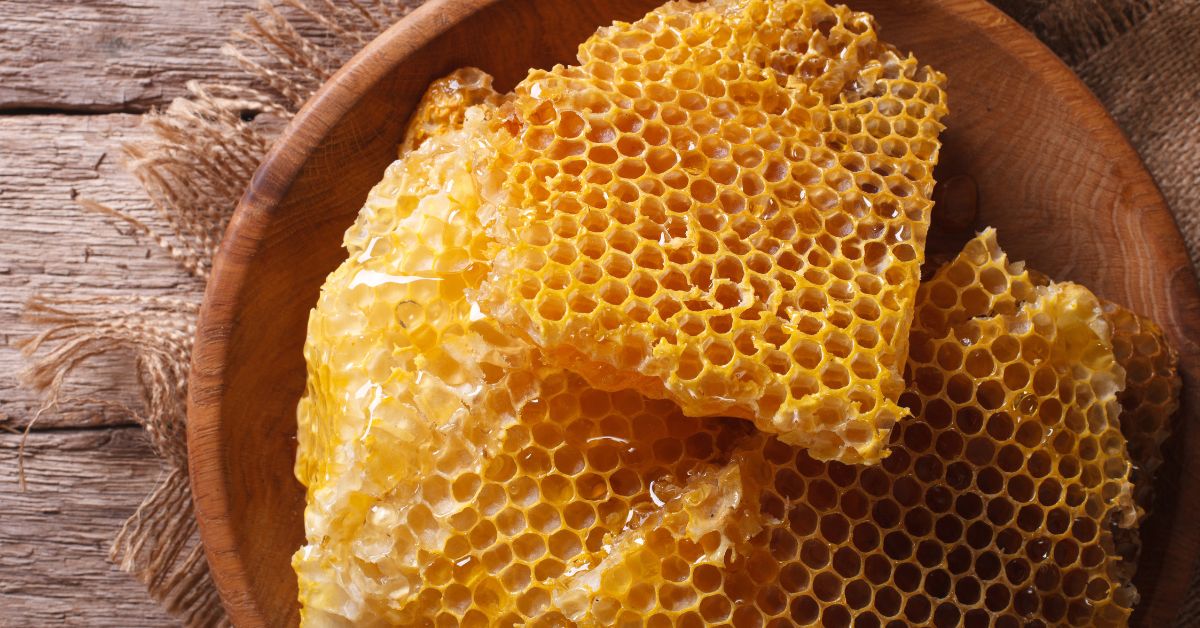 Exploring Different Comb Honey Harvesting Techniques