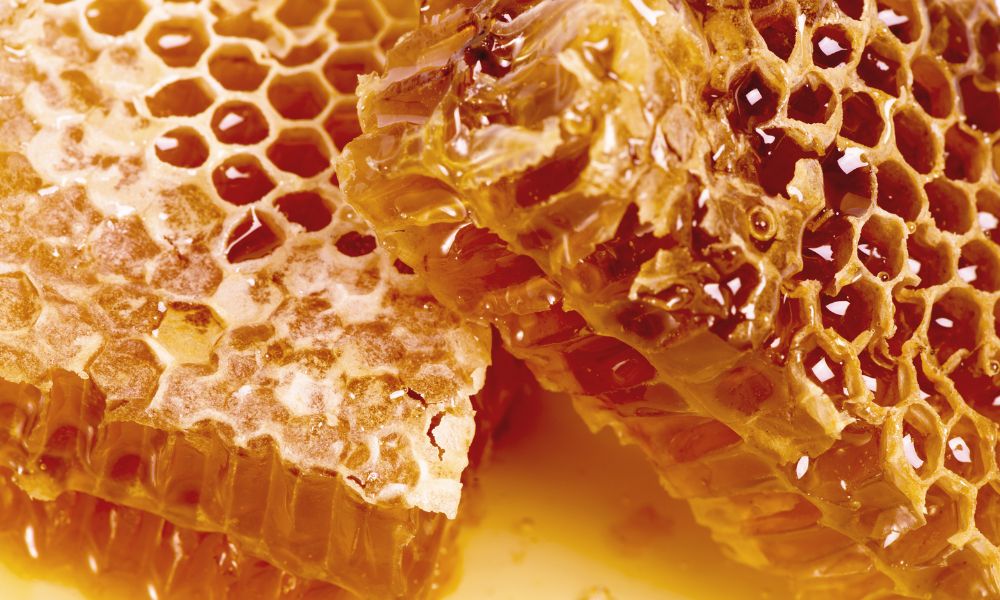 How To Tell the Difference Between Raw Honey and Fake Honey