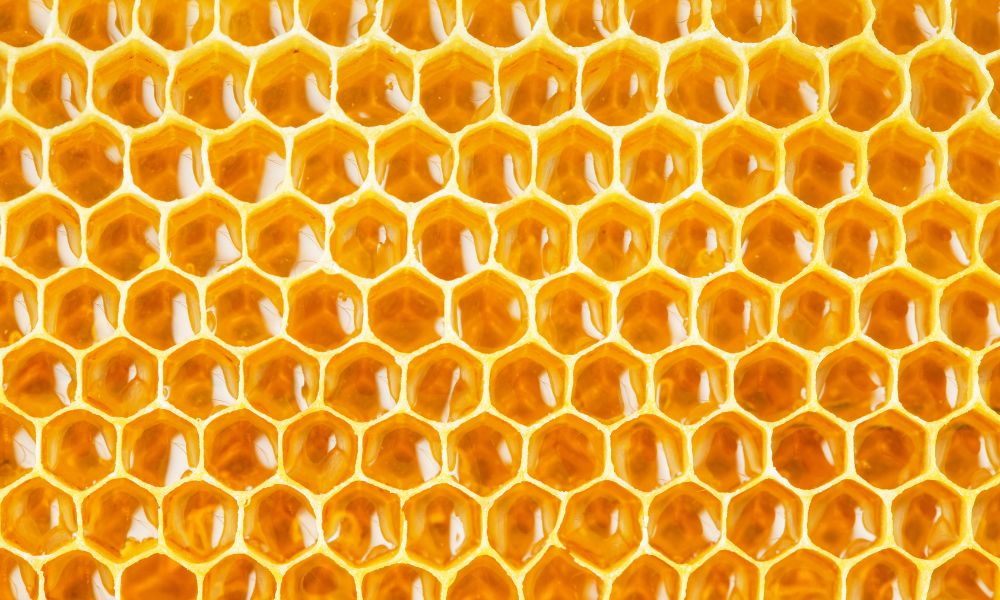 A Comprehensive Guide to the Different Types of Honeycomb