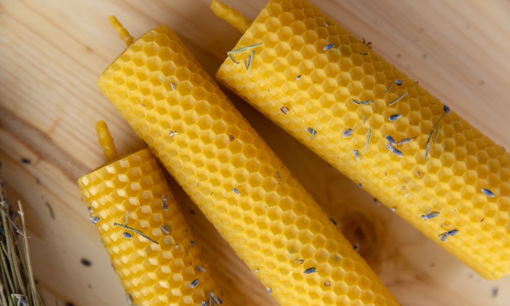 Beeswax Crafts Your Kids Will Love This Fall